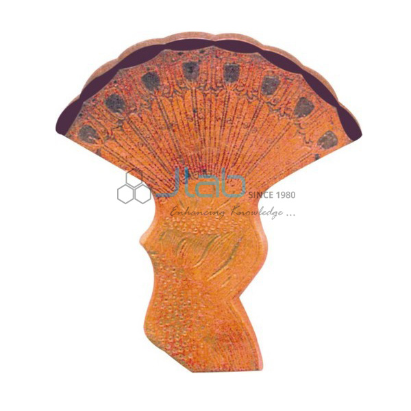 L.S. Insect Eye Manufacturers, Supplier & Exporters in India,Uruguay ...