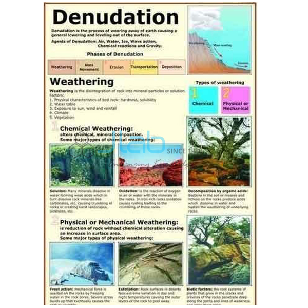 Denudation Chart Manufacturers, Supplier & Exporters in India,Uruguay ...