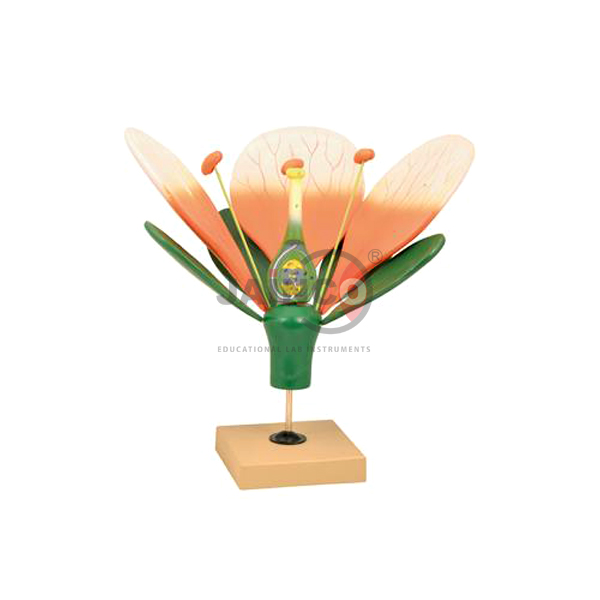 Typical Flower Model Manufacturers, Supplier & Exporters in India ...