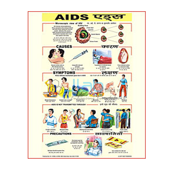 Aids Chart Manufacturers, Supplier & Exporters in India,Uruguay ...