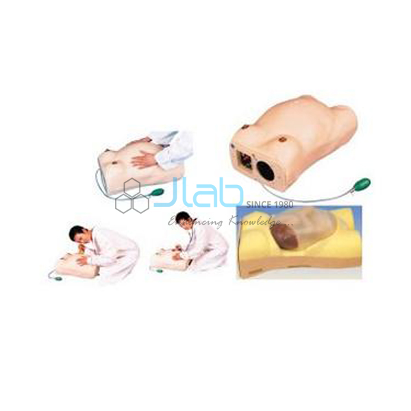 Maternity Examination Model Manufacturers, Supplier & Exporters in ...