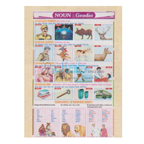 Noun Gender Chart Manufacturers, Supplier & Exporters in India,Uruguay ...