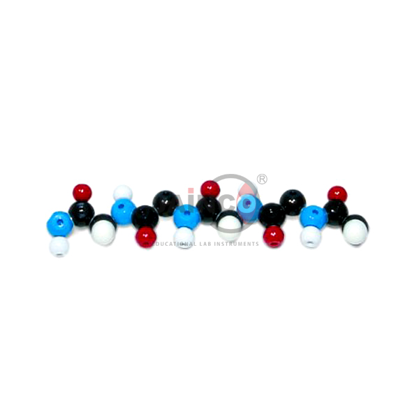 Polypeptide Molecular Model Kit Manufacturers, Supplier & Exporters in ...
