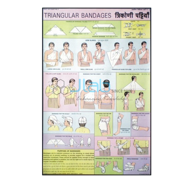Triangular Bandages Chart Manufacturers, Supplier & Exporters in India ...