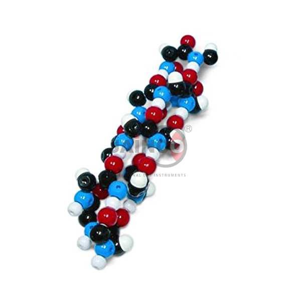 Alpha Helix Molecular Model Kit Manufacturers, Supplier & Exporters in ...
