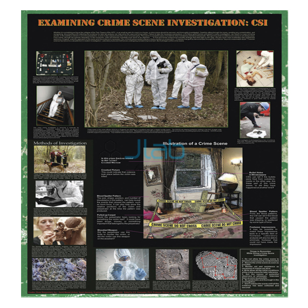 C.S.I. Forensics poster Manufacturers, Supplier & Exporters in India ...