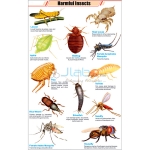 Harmful Insects Chart Manufacturers, Supplier & Exporters in India ...