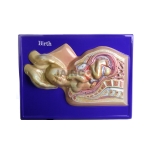 Delivery Birth Set Model Manufacturers, Supplier & Exporters in India ...