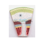 Dicot Stem TS Manufacturers, Supplier & Exporters in India,Uruguay ...